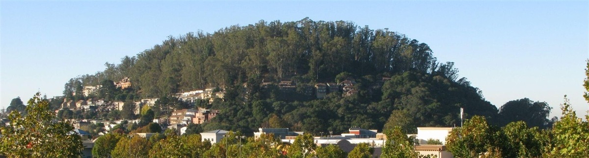 Albany Hill Fire Resilience Event | Albany, CA