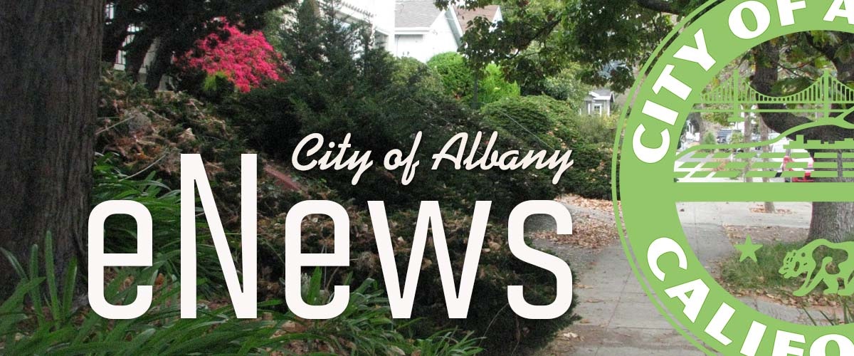 Albany News: March 7, 2025 | Albany, CA
